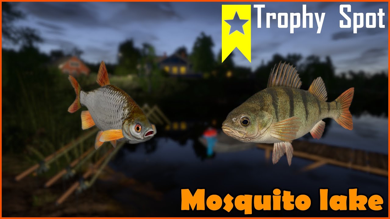 Russian Fishing 4 Mosquito lake - Komarówka | Perch Okoń RF4 Spot - YouTube