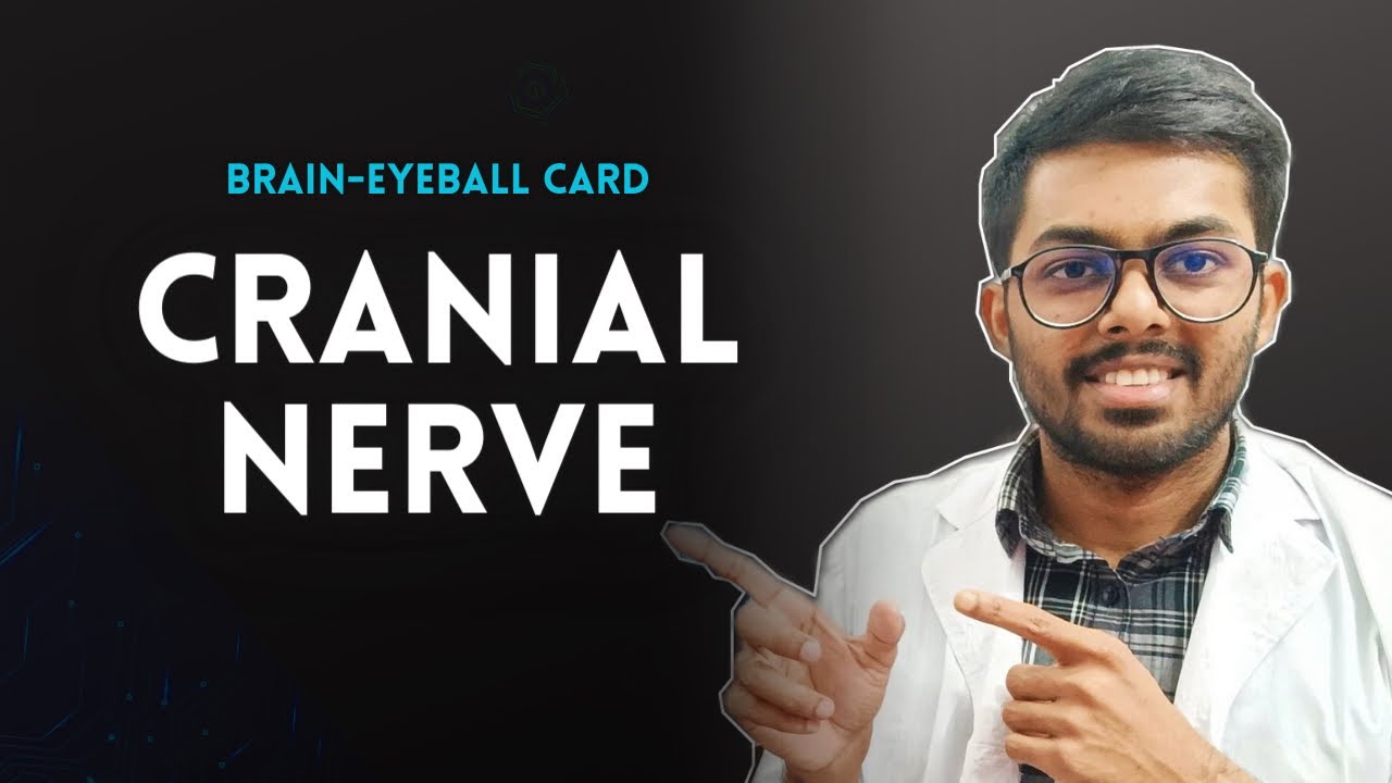 Cranial Nerve Introduction | Brain-Eyeball Card - YouTube