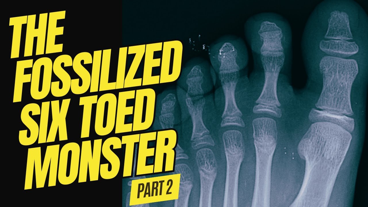 The Fossilized Six Toed Monster: Part 2 - YouTube