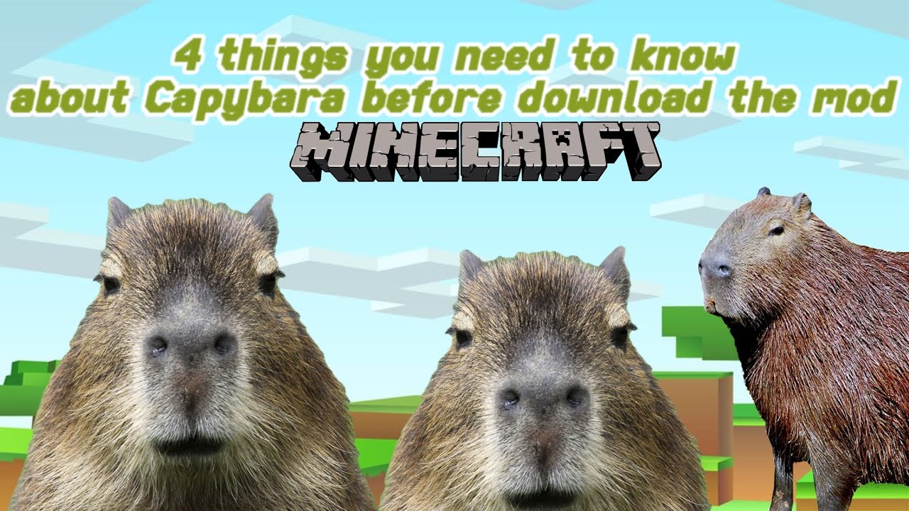 4 things before you download capybara mod at Minecraft•√ - YouTube