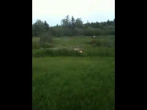 Propane bomb. - YouTube