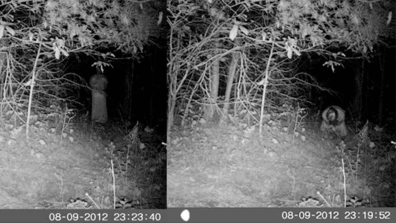 Creepy Trail Camera Photos. - YouTube
