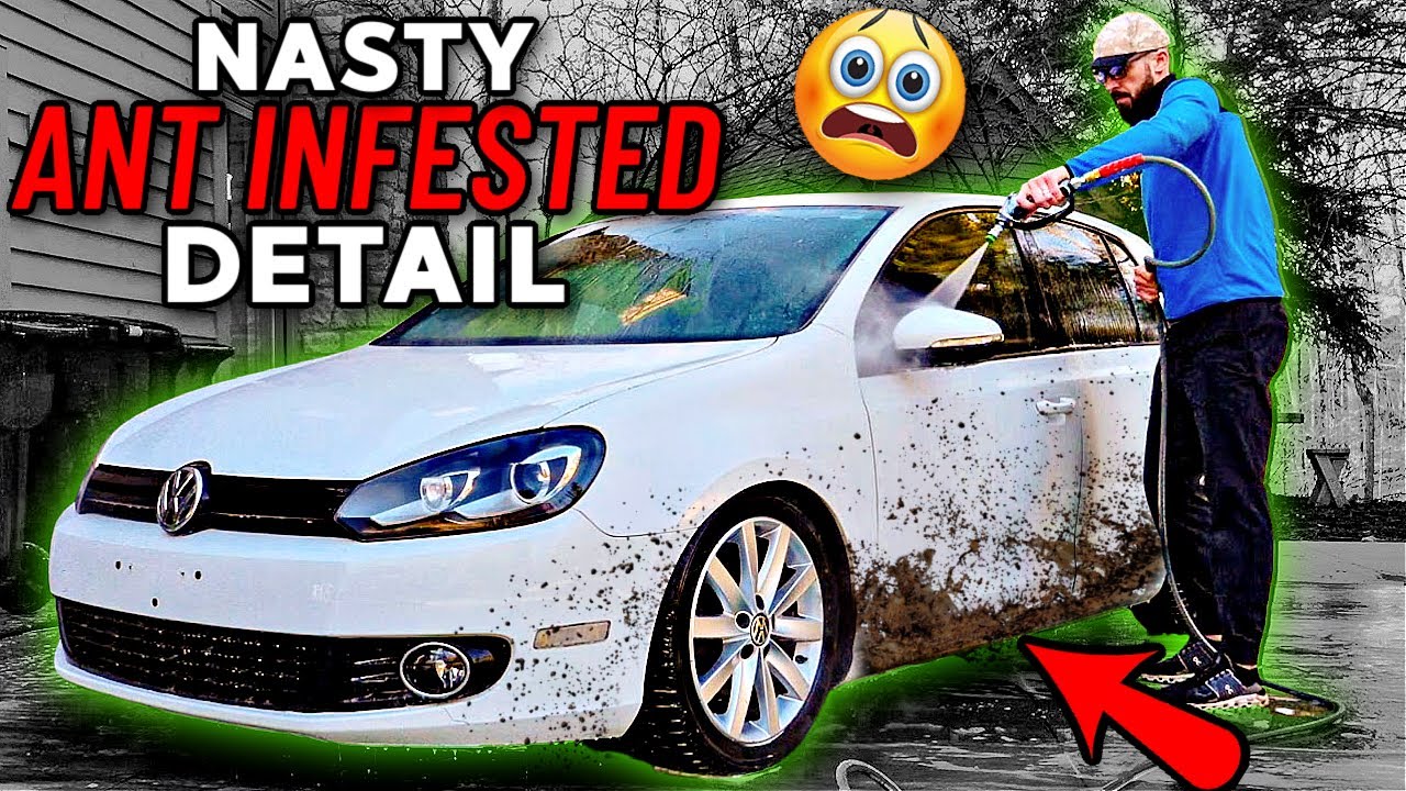 Deep Cleaning A NASTY ANT Infested Car! Car Detailing Restoration - YouTube
