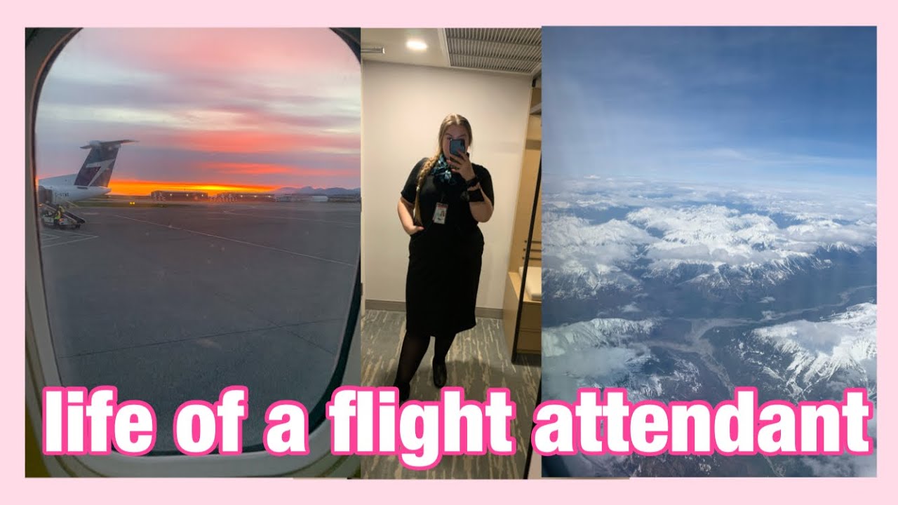 life of a canadian flight attendant (vlog) - YouTube