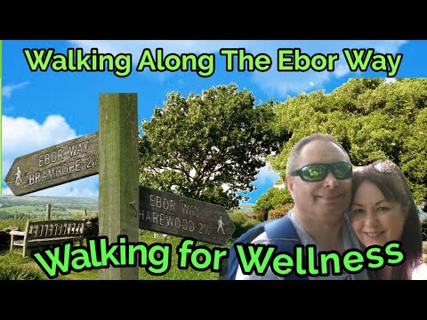 Walking along the Ebor Way #walkingforwellness #yorkshire #countryside ...