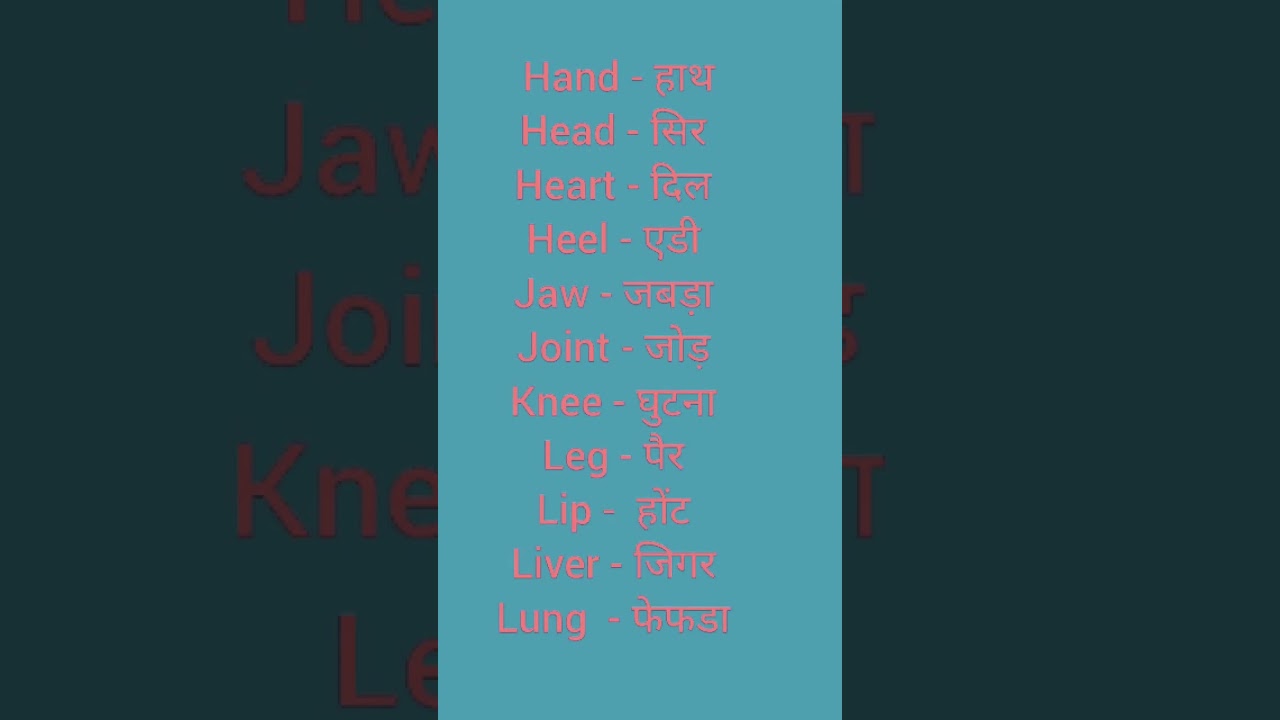 Body Parts Name English To Hindi youtubeshorts YouTube body-parts-name-english-to-hindi-youtubeshorts-youtube