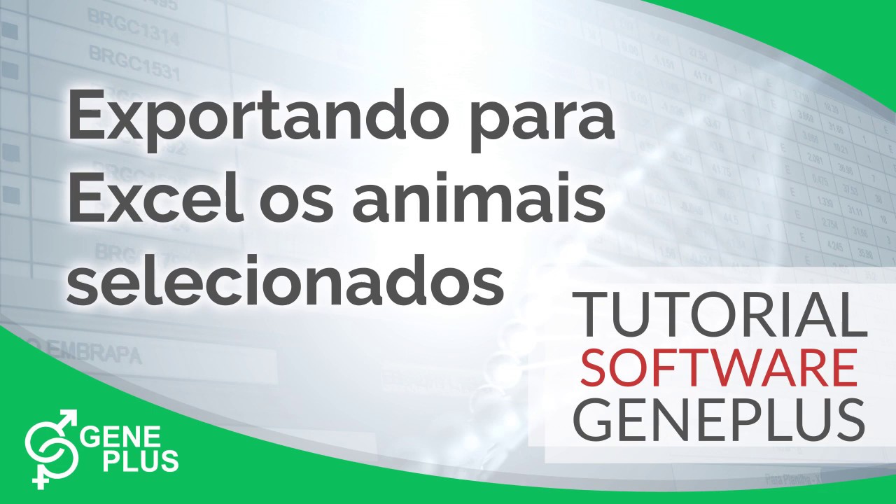 TUTORIAL GENEPLUS: Exportando para o Excel - YouTube