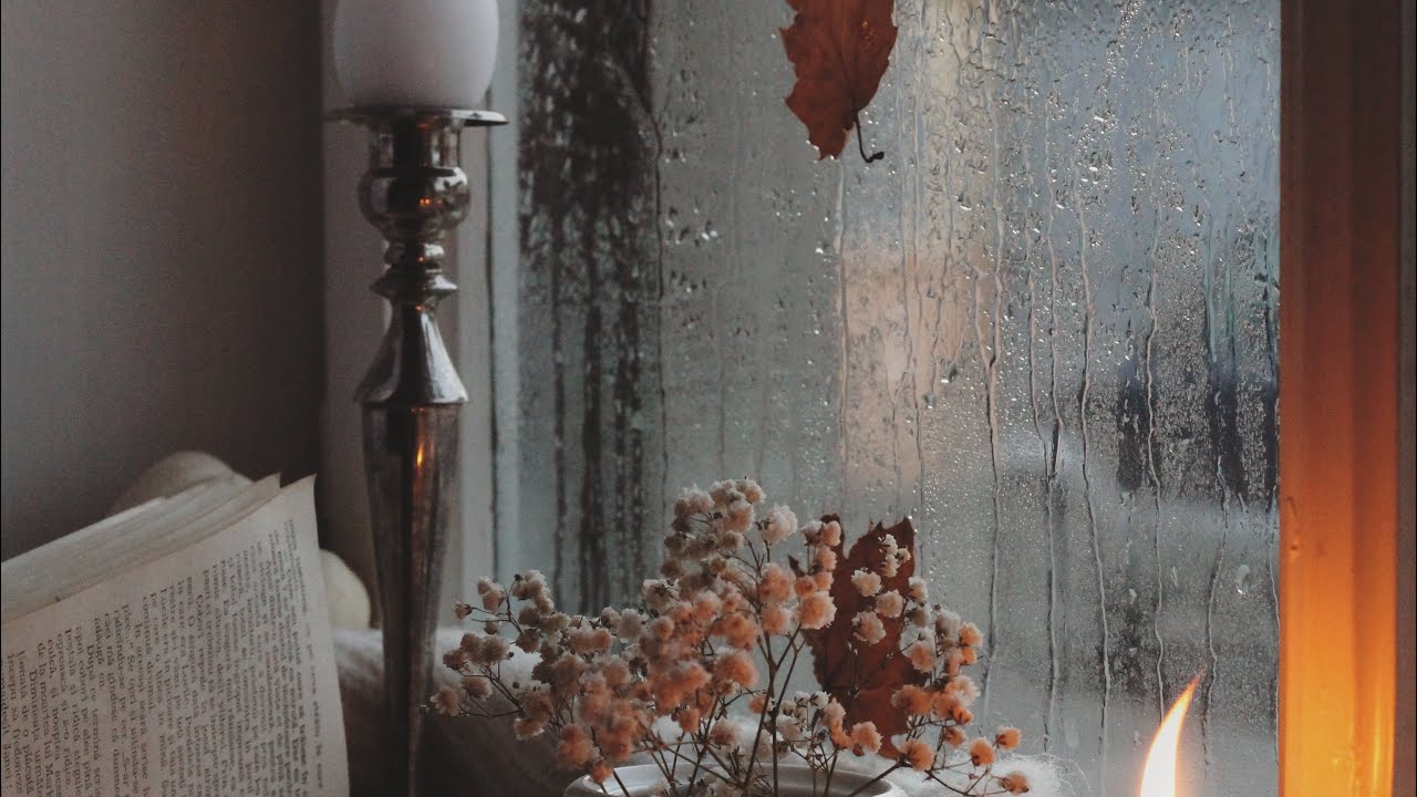 Cosy fall evening - gentle rain on the window sill 🧡 - YouTube
