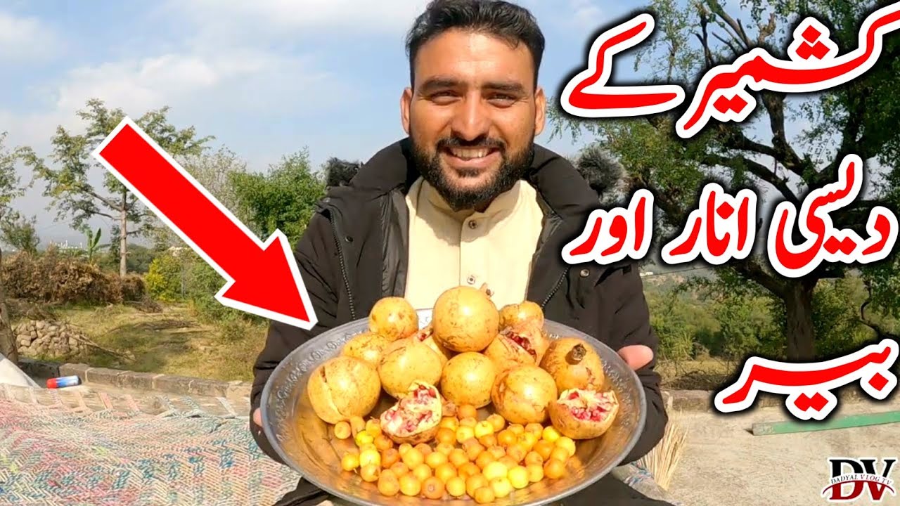 Indigenous Pomegranates And Berries of Kashmir | Kashmir of Beauty ...