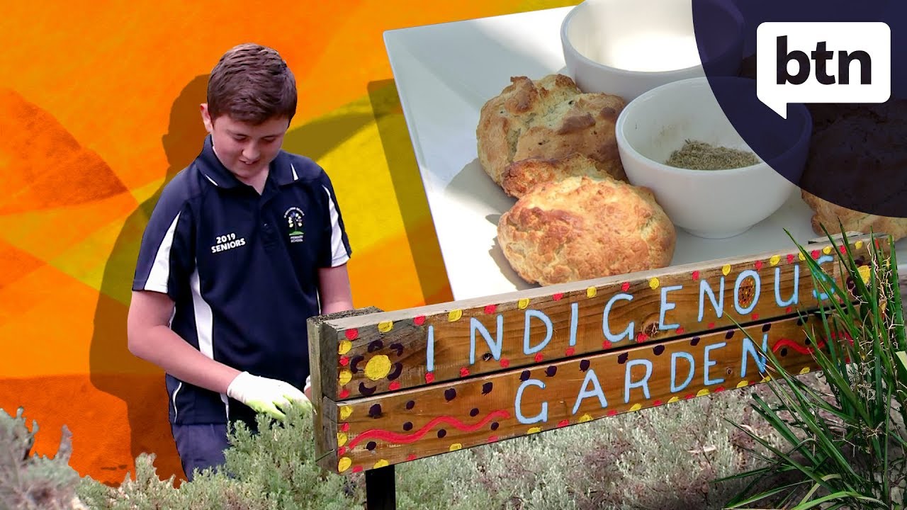Bush Tucker Garden - Behind the News - YouTube