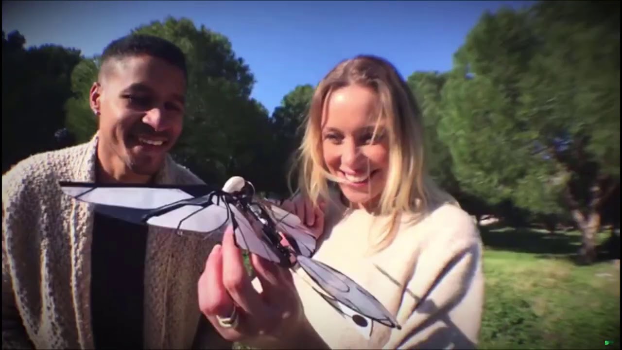 Metafly A Futuristic Robotics Drone Fly - YouTube