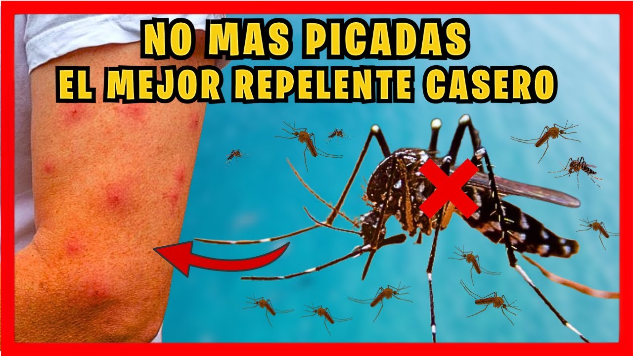 Como hacer EL MEJOR REPELENTE CASERO para zancudos o mosquitos | Gio de ...