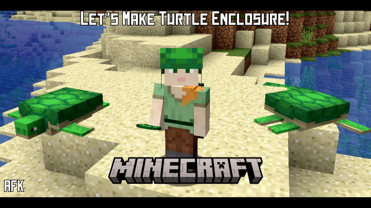 Let's Build Turtle Enclosure! | Minecraft | AFK #bandhilki - YouTube