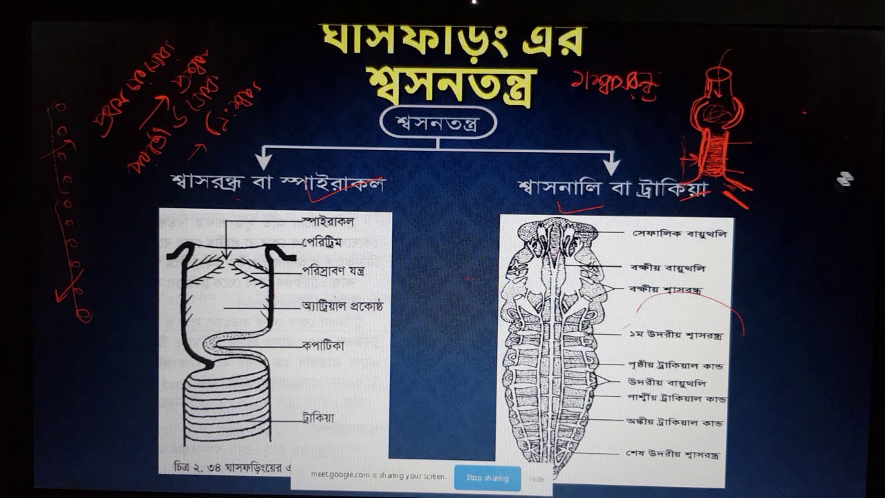 Ghas foring last class part 1 - YouTube