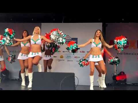 Miami Dolphins Cheerleaders
