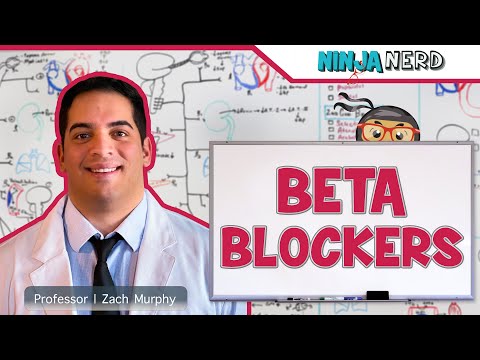 Beta Blockers | Mechanism of Action, Indications, Adverse Reactions, Contraindications