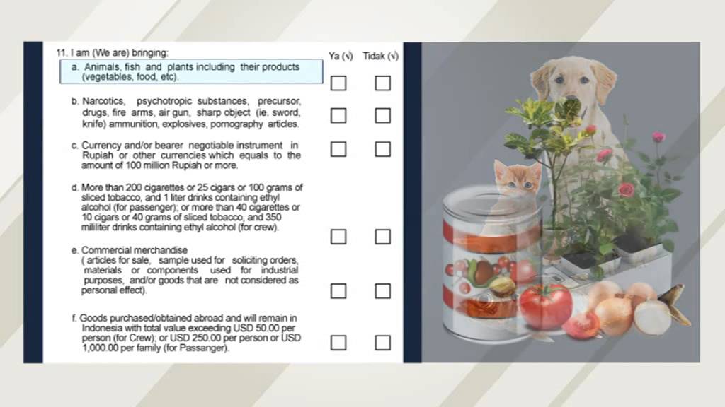 Indonesian CUSTOMS DECLARATION - YouTube
