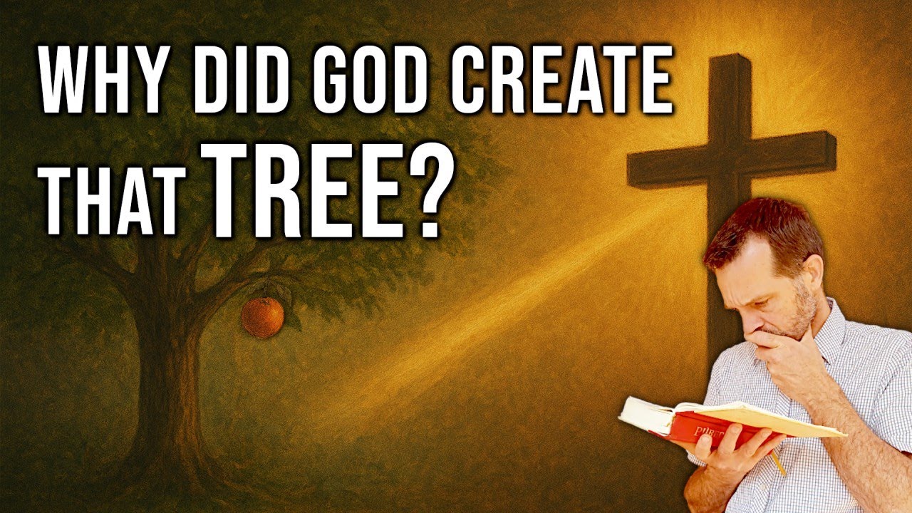 The Real Reason Why God Created the Tree of Knowledge of Good and Evil ...