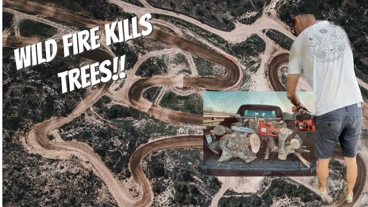 Lots of Dead Trees! Clearing trees from on the track. - YouTube