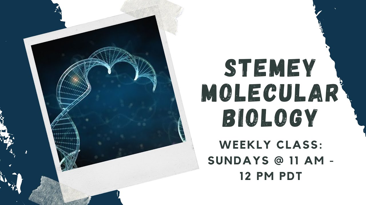 Structure and Function of Large Molecules | STEMEY Molecular Biology ...