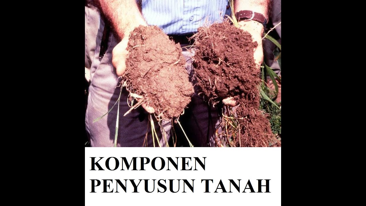 " KOMPONEN PENYUSUN TANAH" - YouTube