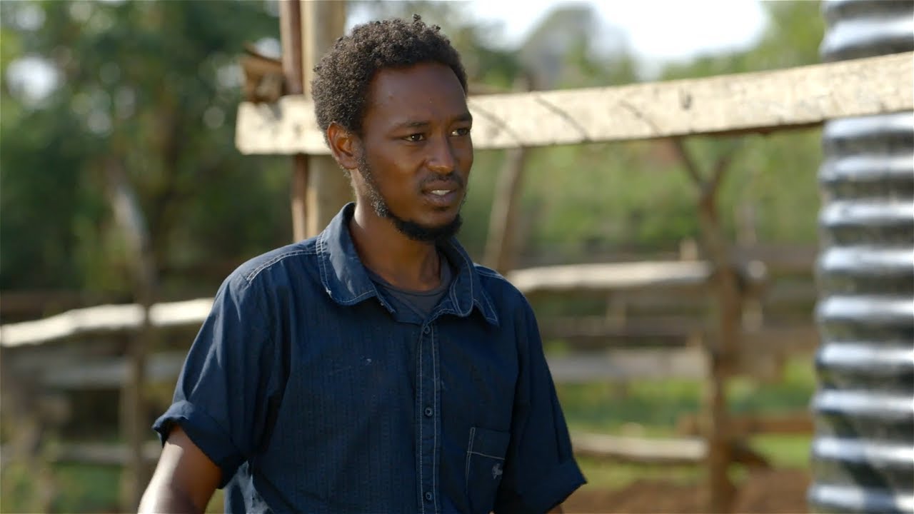 Shamba Shape Up Uganda Series 3 -Ep 7: Banana, Soil test, Pasture and ...