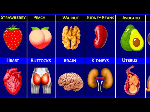 Fruits And Vegetables That Looks Like Body Parts