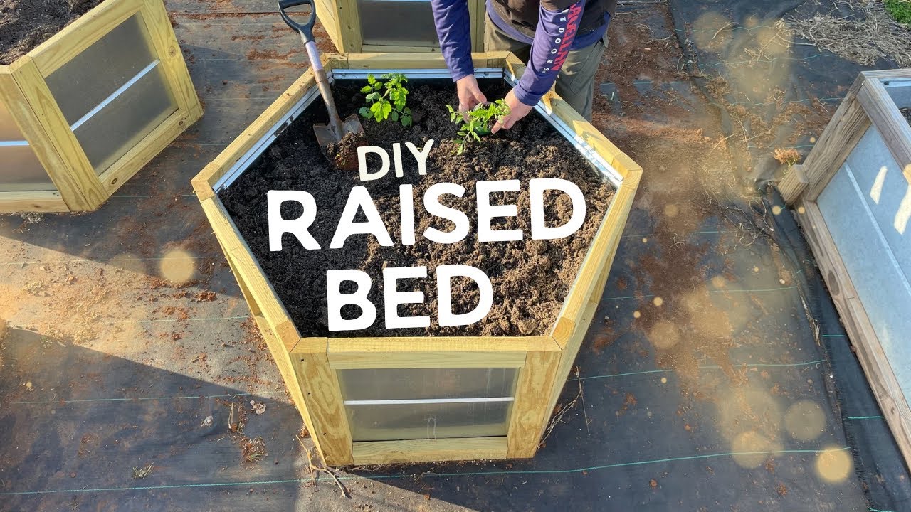 Modern Hexagon Raised Beds | Transform Your Garden - YouTube