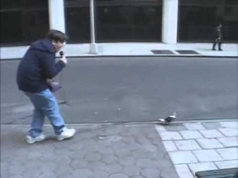 andy raps to pigeon - YouTube