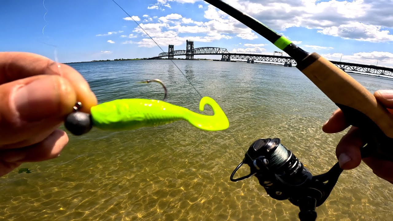 Fluke Fishing From Shore (Summer Flounder) - YouTube