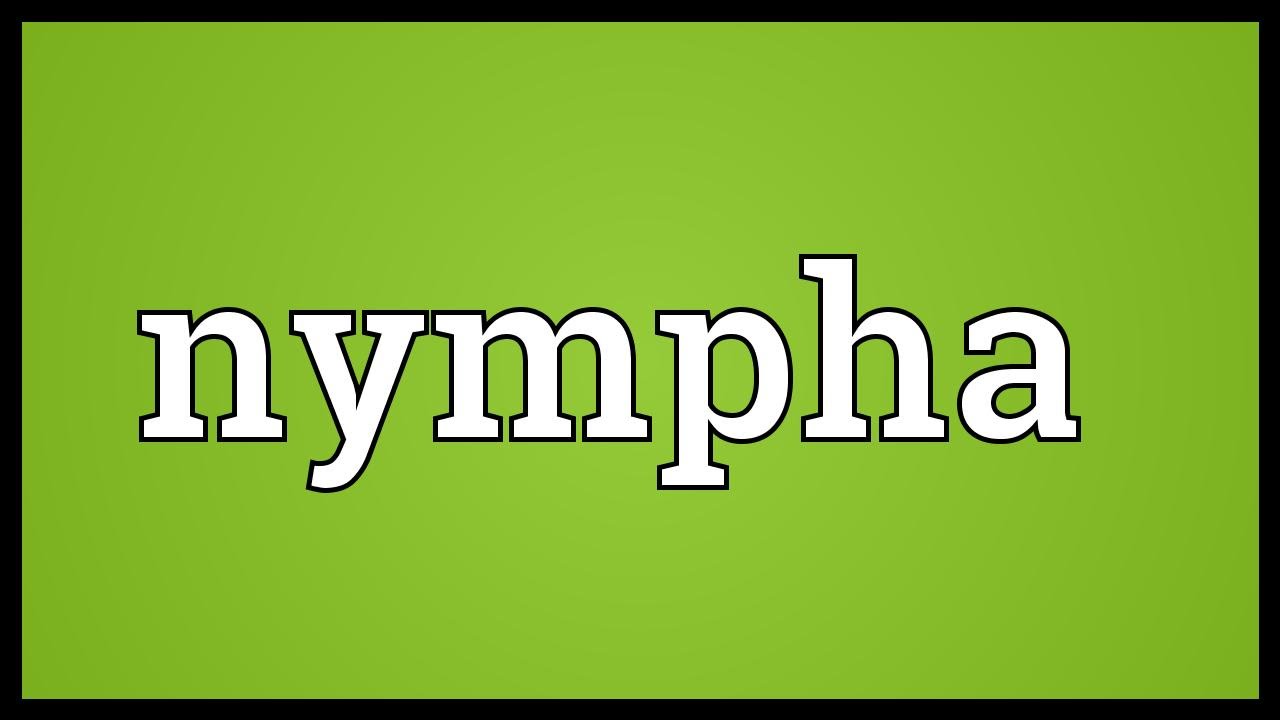 Nympha Meaning - YouTube