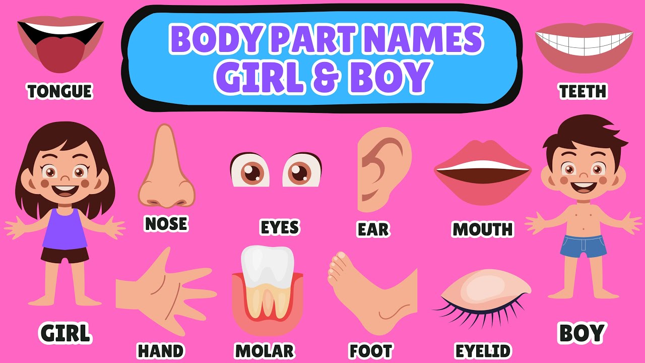 Body Parts for Kids | Learn Girls' & Boys' Body Part Names | English ...