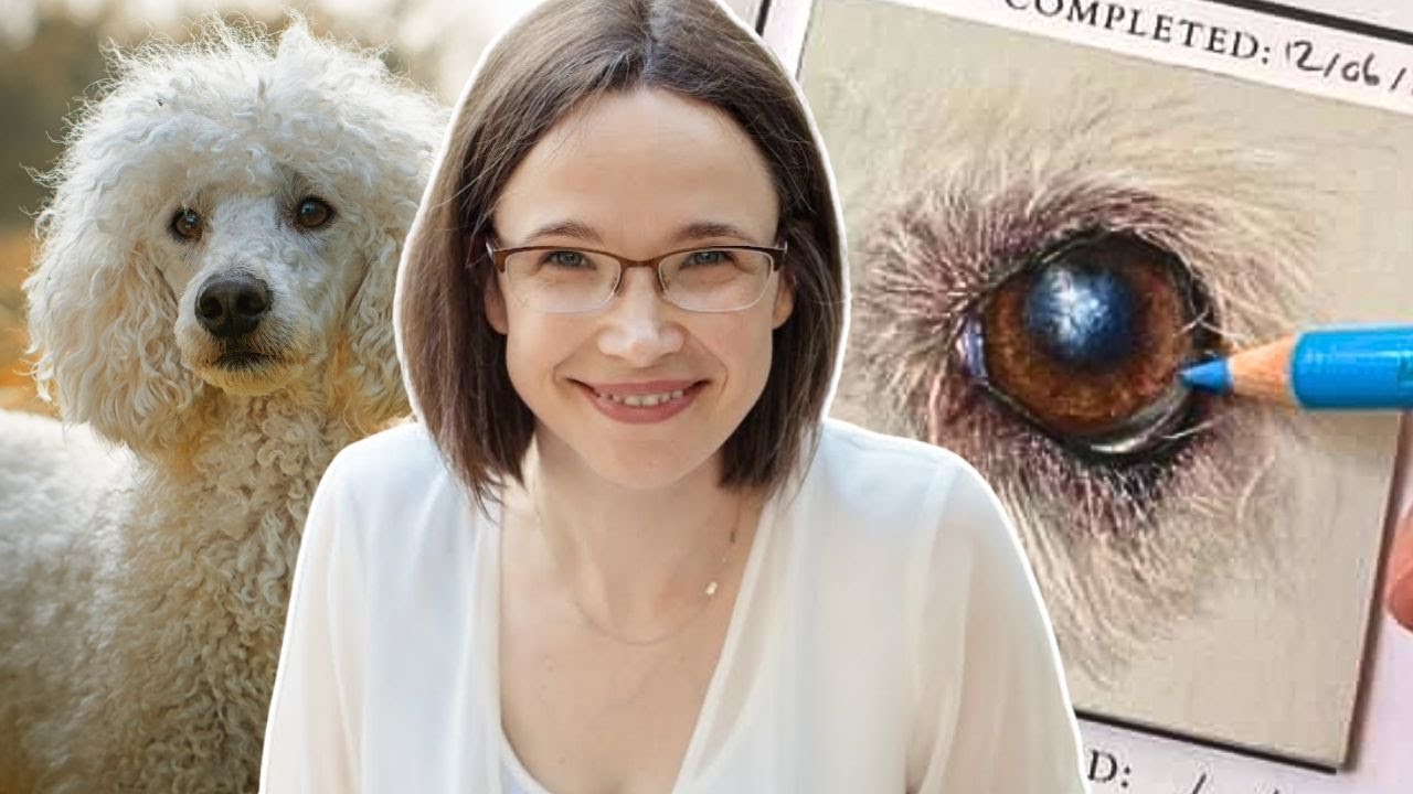 Our Most Unique Animal Art Commissions - The Animal Art Podcast #001 ...