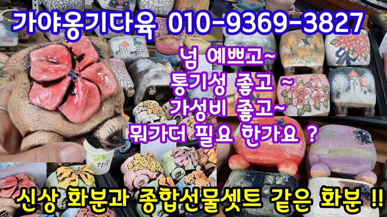 다육이 화분 쇼핑 🛍 종합선물셋트 같은 화분🪴 한층 업그레이드된 민공방화분 엣지 홍조분 신상 서란분 까지 ~💗가야옹기다육 010