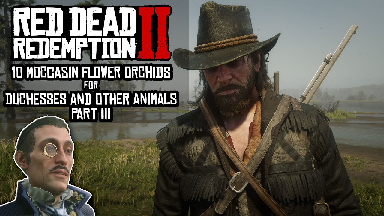 Red Dead Redemption 2- 10 Moccasin Orchid locations- Duchesses and ...