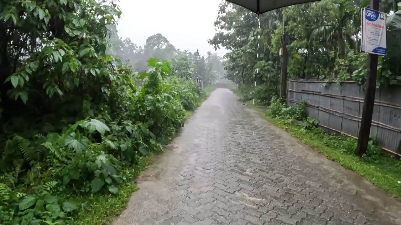Walking In Heavy Rain on Greenery Road, Umbrella And Nature Sound For ...