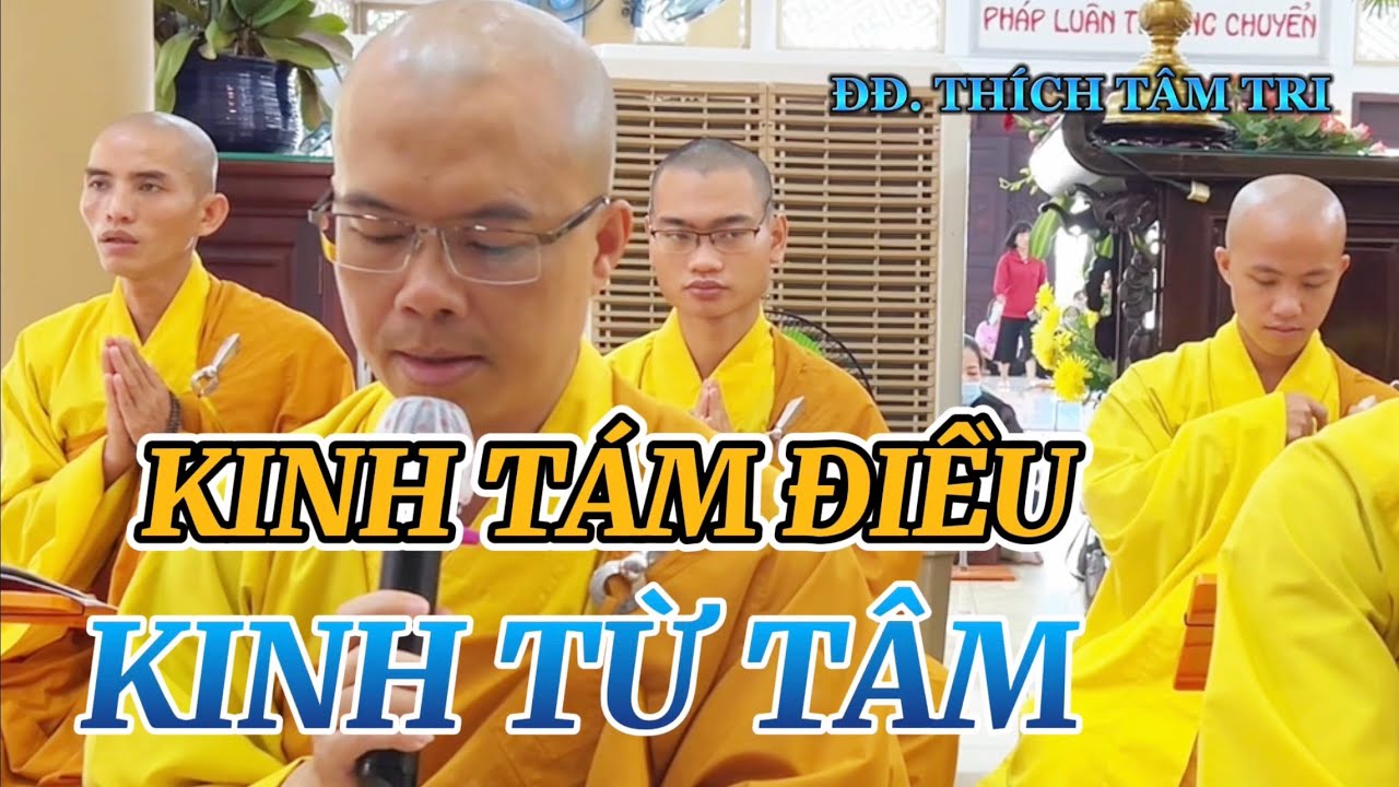 Kinh Nhật Tụng: Kinh Tám Điều - Kinh Từ Tâm | ĐĐ. Thích Tâm Tri # ...