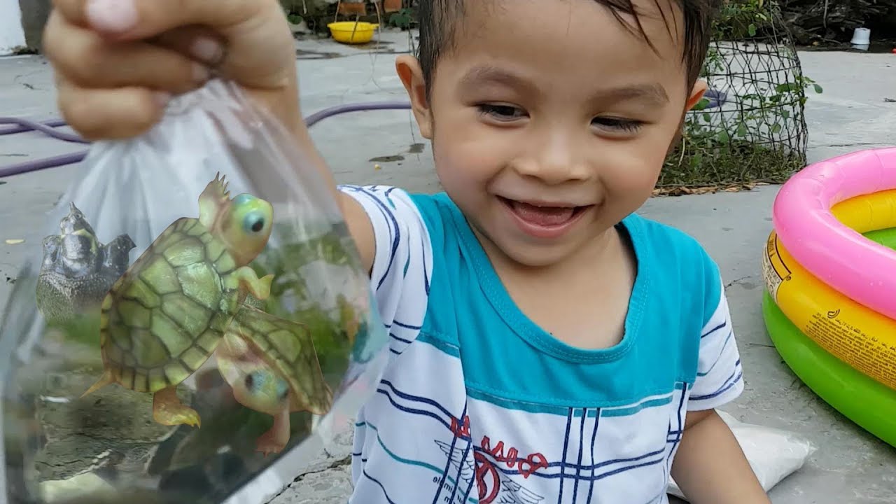 Trò Chơi Làm Bể Nuôi Con Baba Nhỏ ChiChi ToysReview TV Đồ Chơi Trẻ Em ...