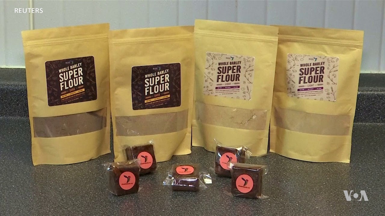 From Beer to the Bakery: How One Entrepreneur Recycles Spent Grains ...