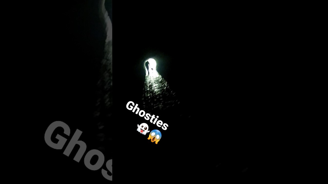 Belgian Akita Braves the Ghost infested Tunnel. - YouTube