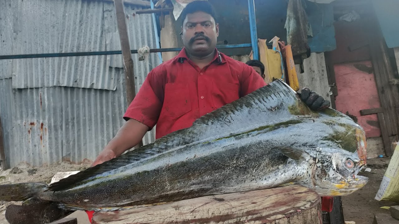 fish cutting Selvam parla fish cutting - YouTube