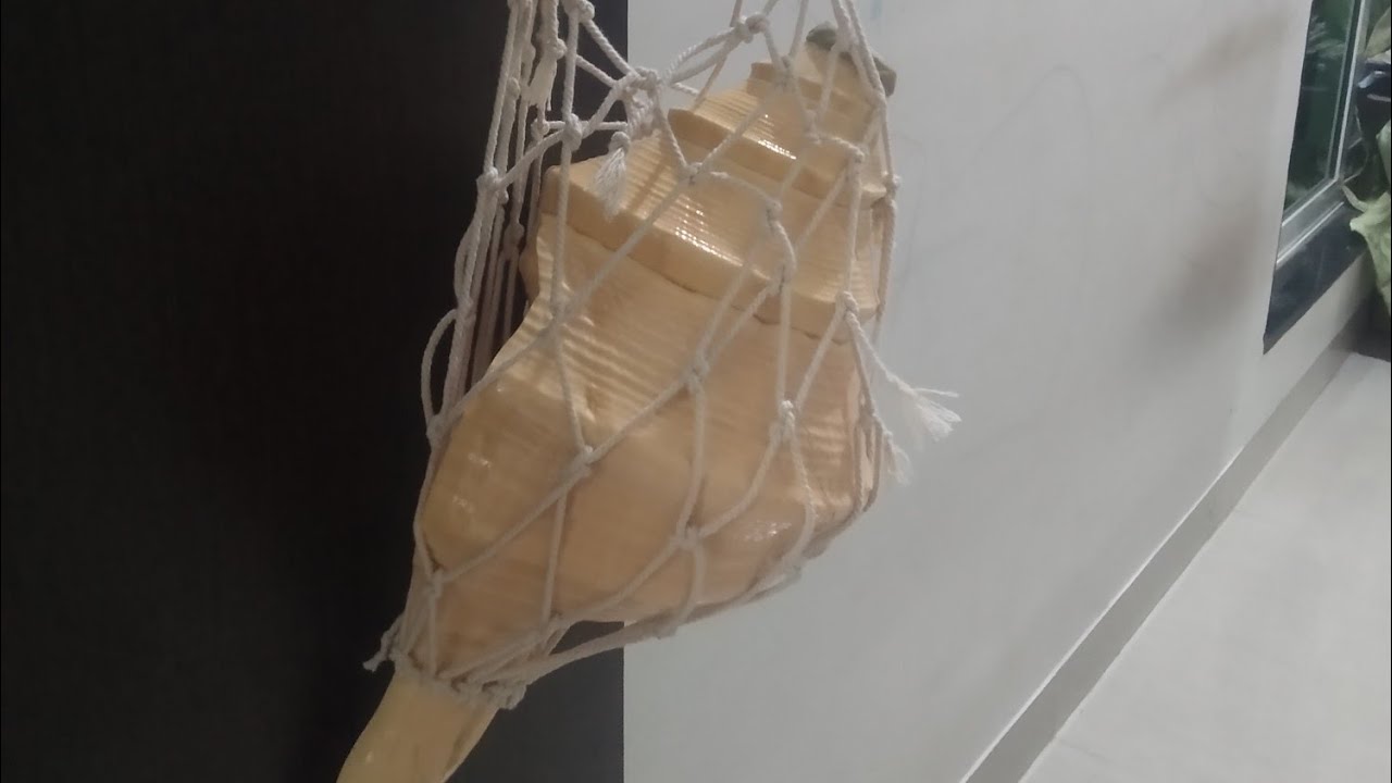 shankhnaad , how to blow conch shell, gada shankh - YouTube