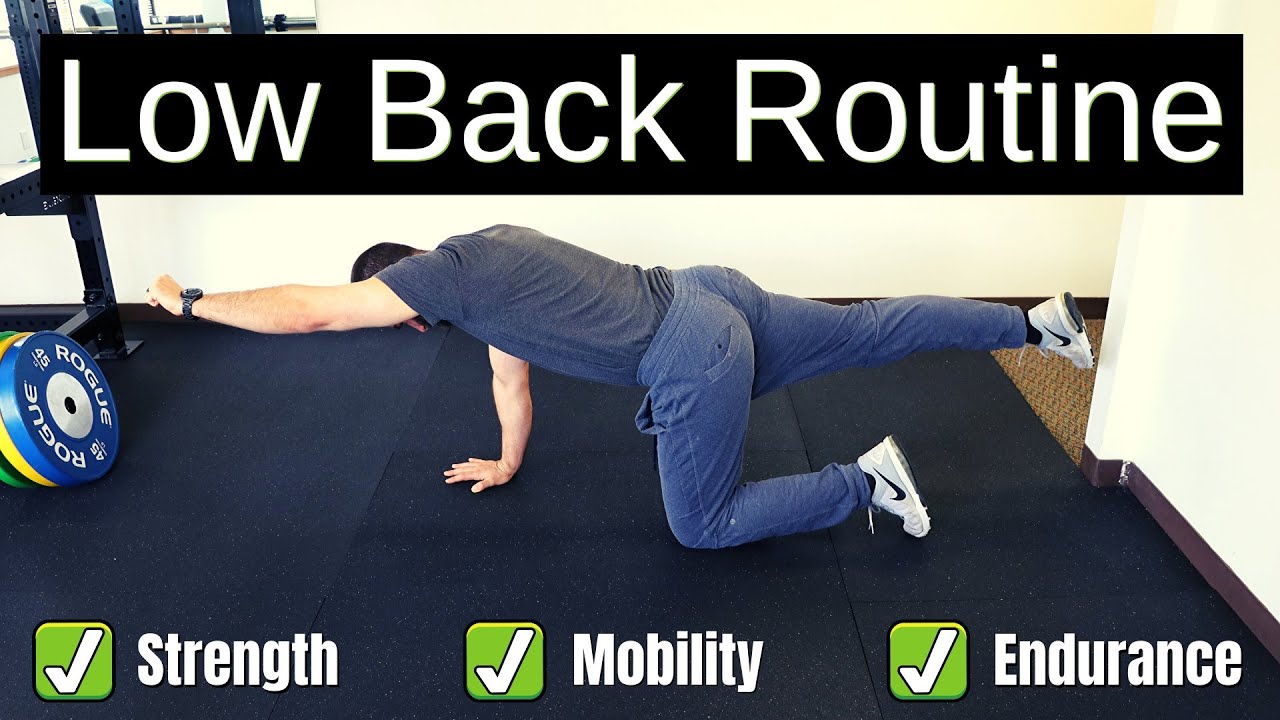 How to FIX LOW BACK PAIN & Increase STRENGTH, MOBILITY & ENDURANCE..LOW ...