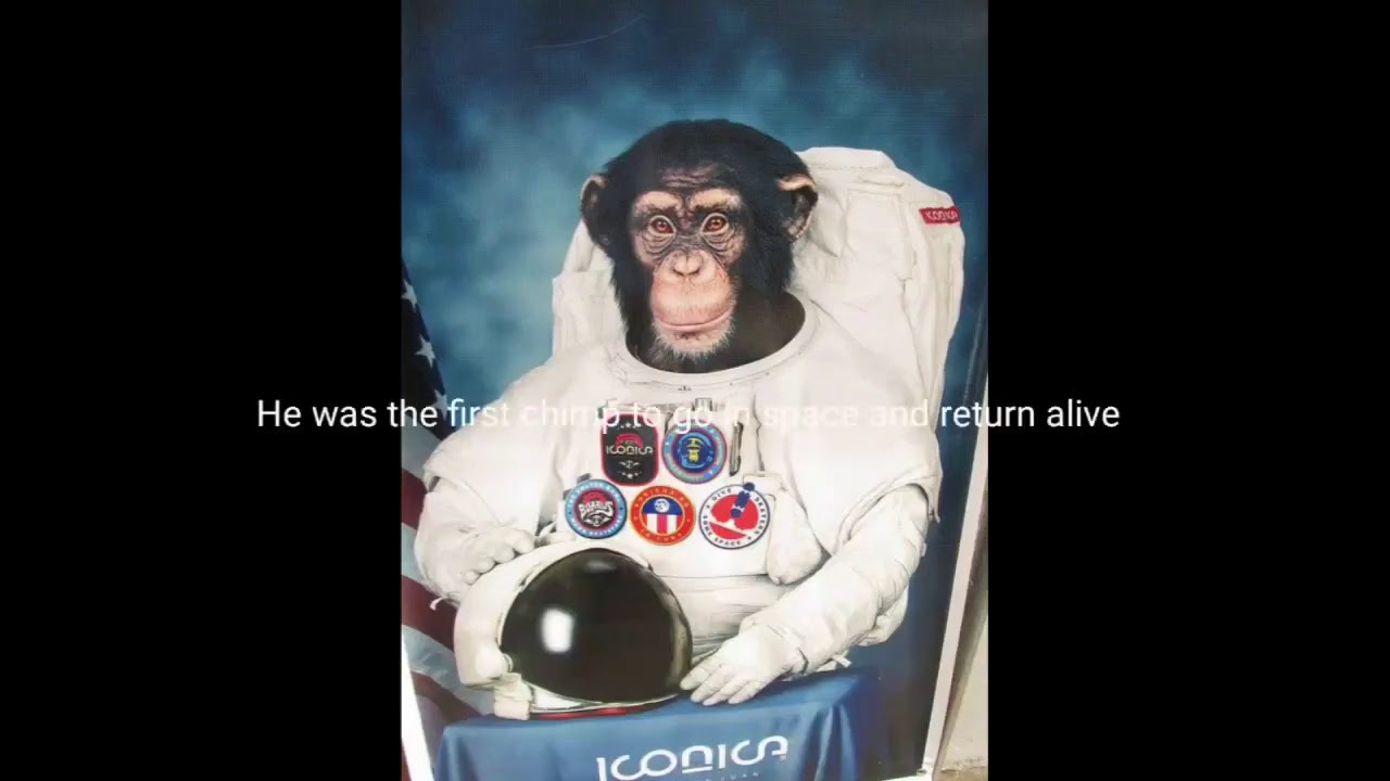ASTRO CHIMP THE UNTOLD STORY - YouTube