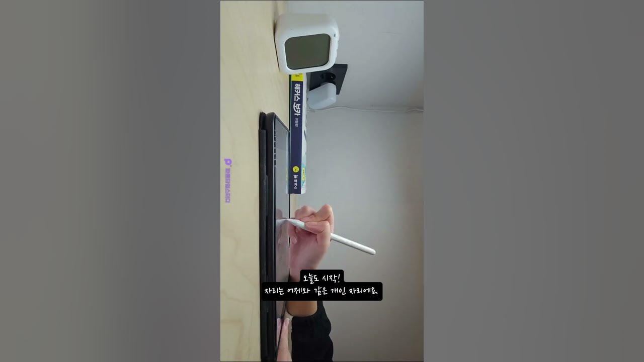 소요일상 250210 - YouTube