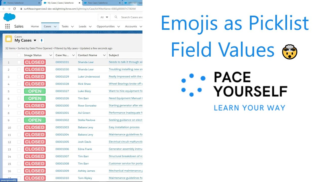Salesforce: Use Emojis as Picklist Field Values - YouTube