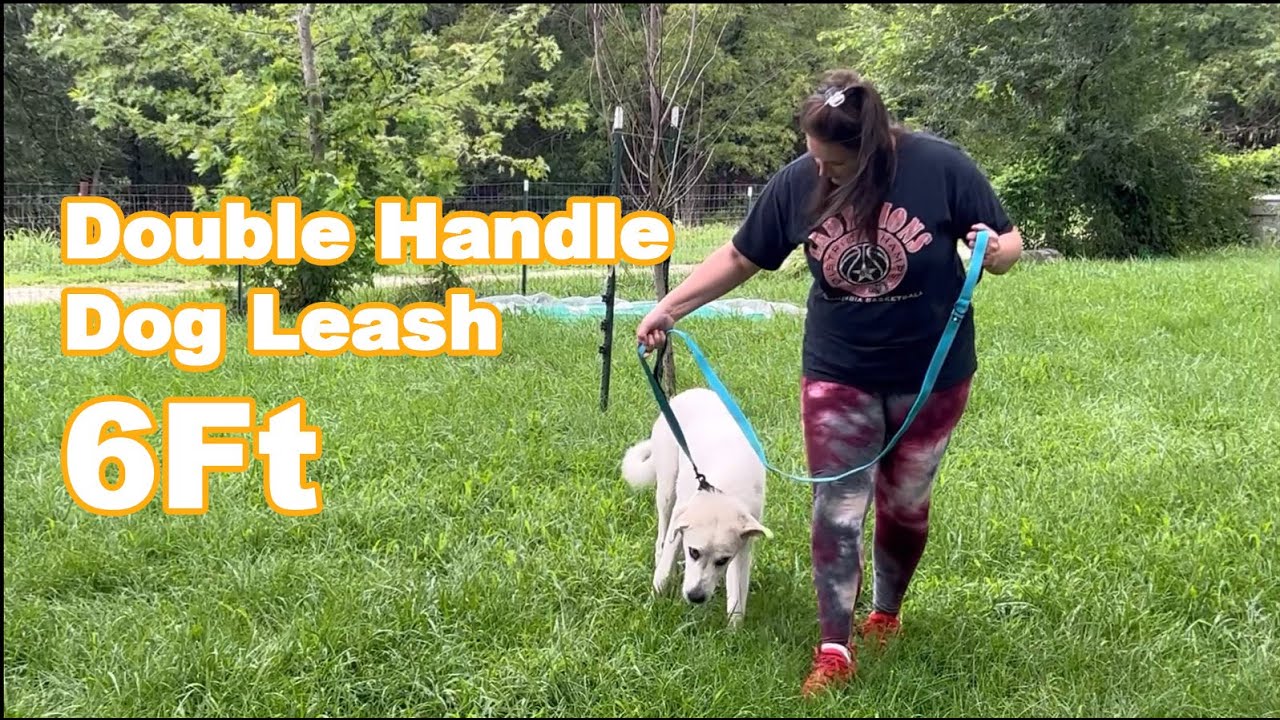 Making Walks More Fun with the Wholesale Double Handle Dog Leash 6Ft ...