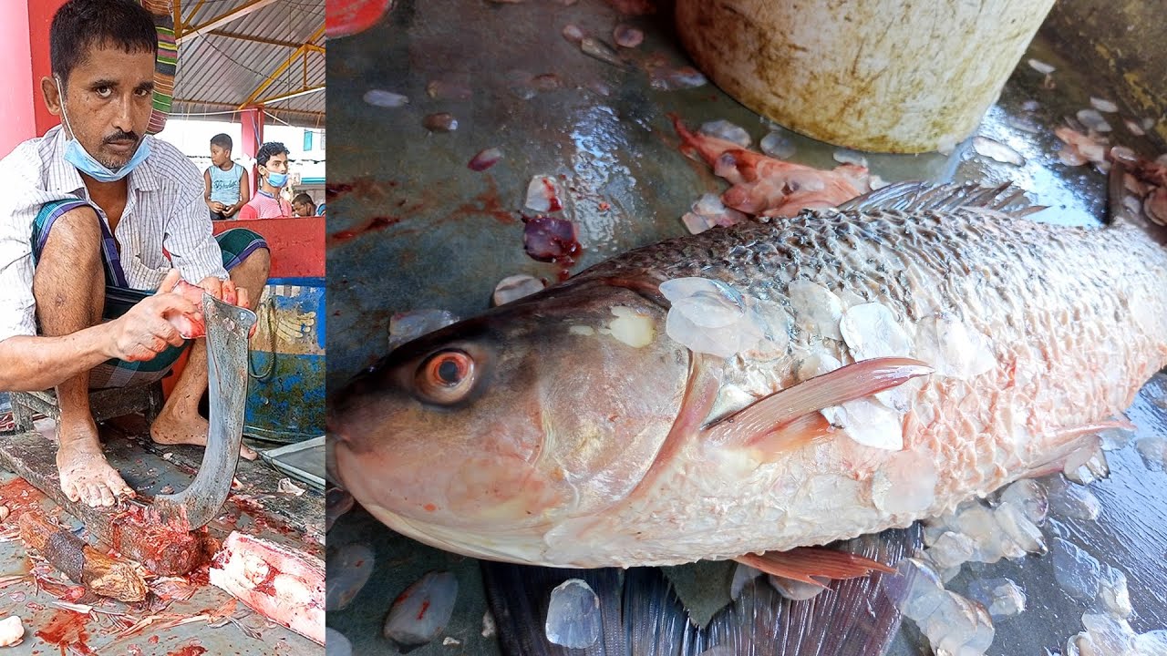 One Eyes man Cutting Giant Fish Quickly & Confidently | Fish Cutting ...