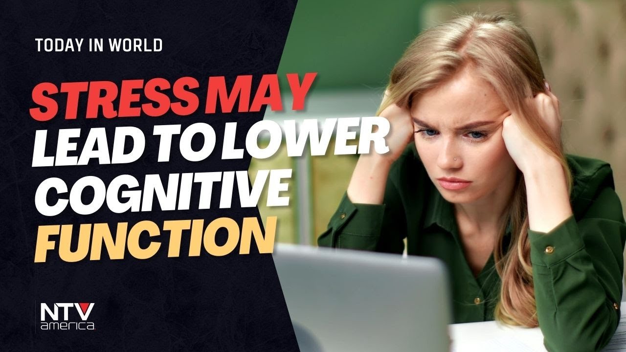 Stress may lead to lower cognitive function - YouTube