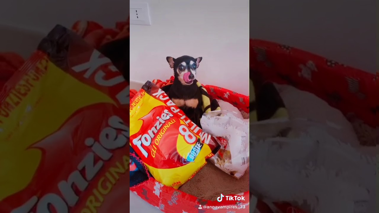 Tiktok Sandy Anna -bando - YouTube